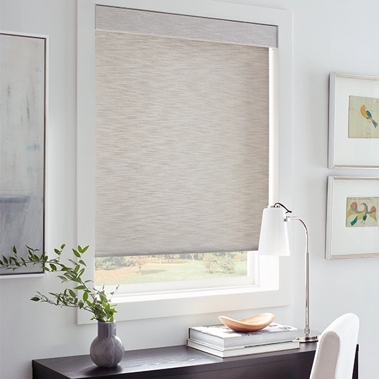 Roller Shades | Hunter Douglas Designer Roller Shades